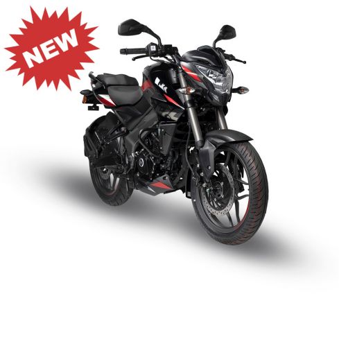 Avenger 220 Cruise, 2025